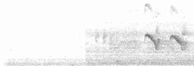 eBird Checklist - 15 May 2024 - 327 Spring St, Mississippi Mills CA-ON ...