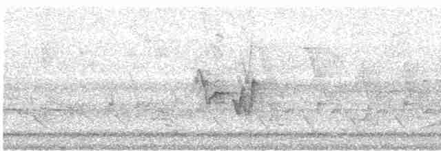 eBird Checklist - 16 May 2024 - Wheeler NWR--Dancy Bottoms (NABT 33 ...