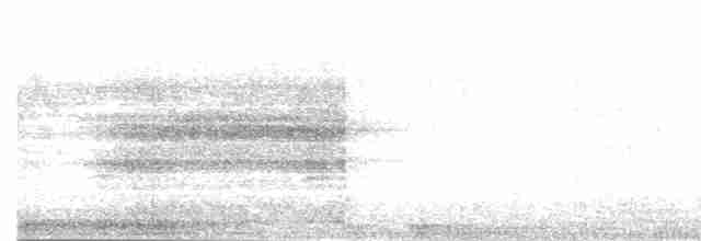 Wattled Guan - Aburria aburri - Media Search - Macaulay Library and eBird