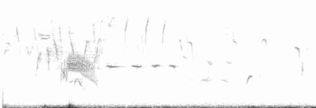 eBird Checklist - 23 May 2024 - Barn Island WMA - 65 species (+1 other ...