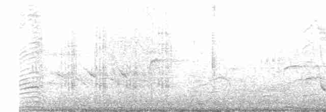 eBird Checklist - 25 May 2024 - Western Springs Park - 1 species