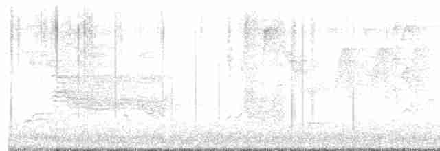 Pennsylvania Bird Atlas Checklist - 25 May 2024 - Franklin Delano ...