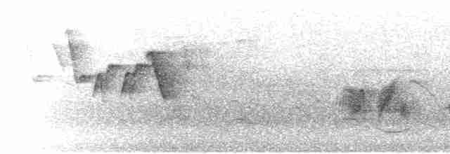 eBird Checklist - 22 May 2024 - Magee Marsh--Boardwalk - 63 species