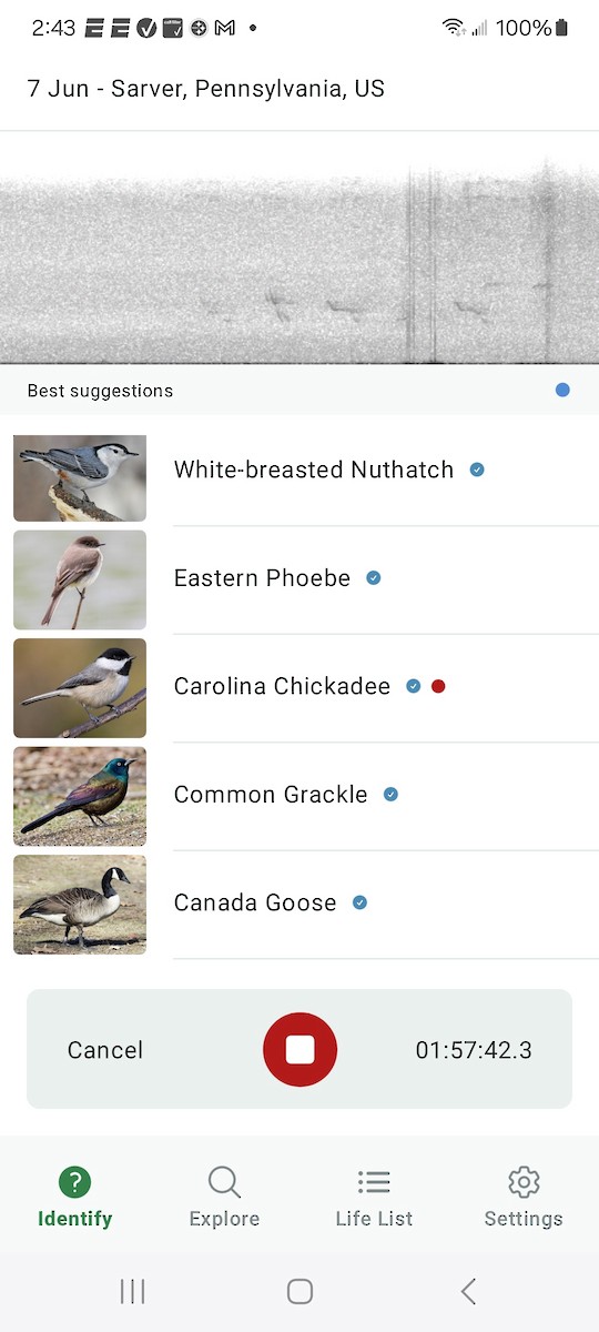 eBird Checklist - 7 Jun 2024 - Lardintown Goldscheiter - 6 species