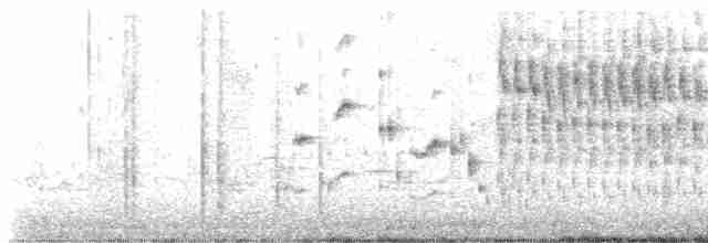 Pennsylvania Bird Atlas Checklist - 8 Jun 2024 - John Heinz NWR--wetlands (Delaware Co.) - 49 ...