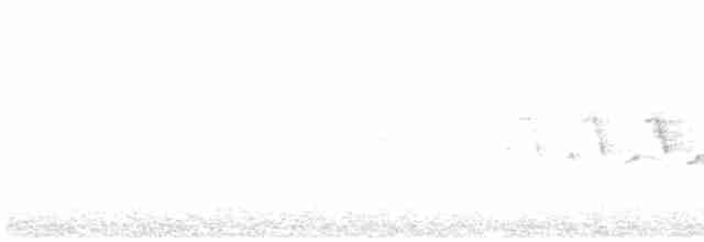 eBird Checklist - 11 Jun 2024 - Sisson Southern Trail - 13 species