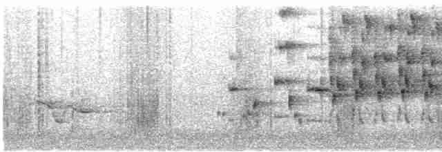 eBird Checklist - 16 Jun 2024 - John Heinz NWR--impoundment (Philadelphia Co.) - 30 species