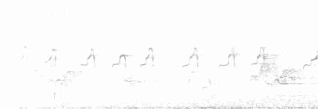 Pennsylvania Bird Atlas Checklist - 16 Jun 2024 - Scotia Barrens (IBA ...