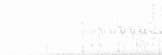 New York Breeding Bird Atlas Checklist - 22 Jun 2024 - Averill Peak ...