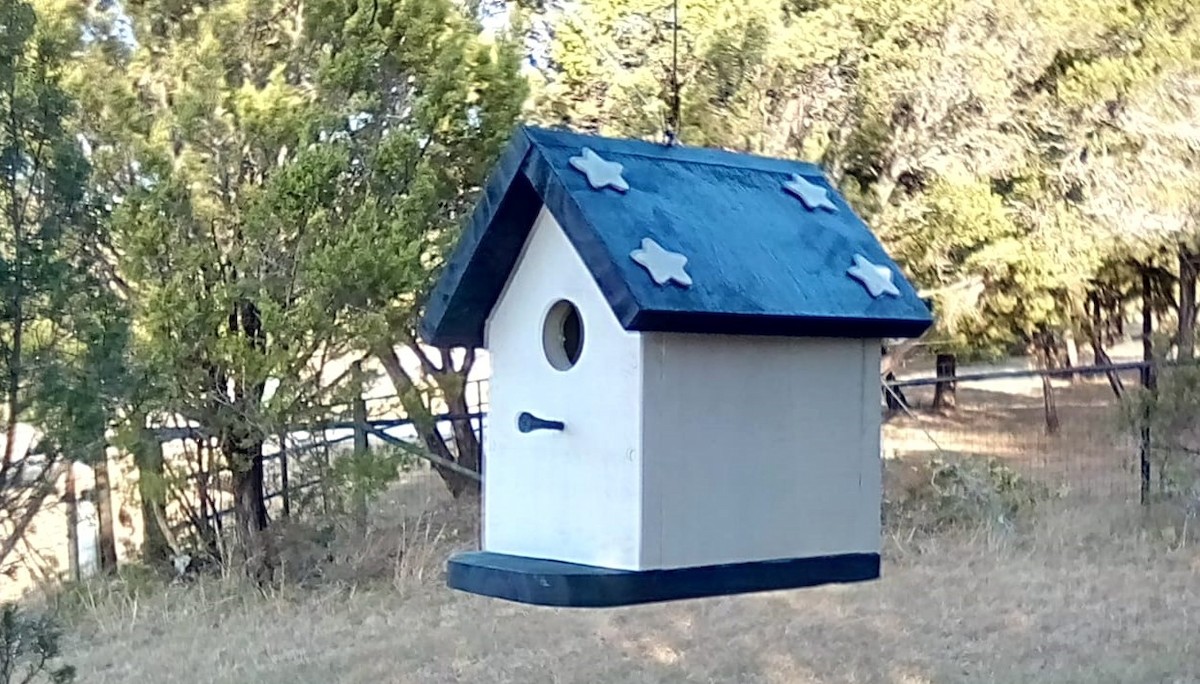 eBird Checklist - 31 May 2017 - Kelly's Bird Sanctuary - 18 species