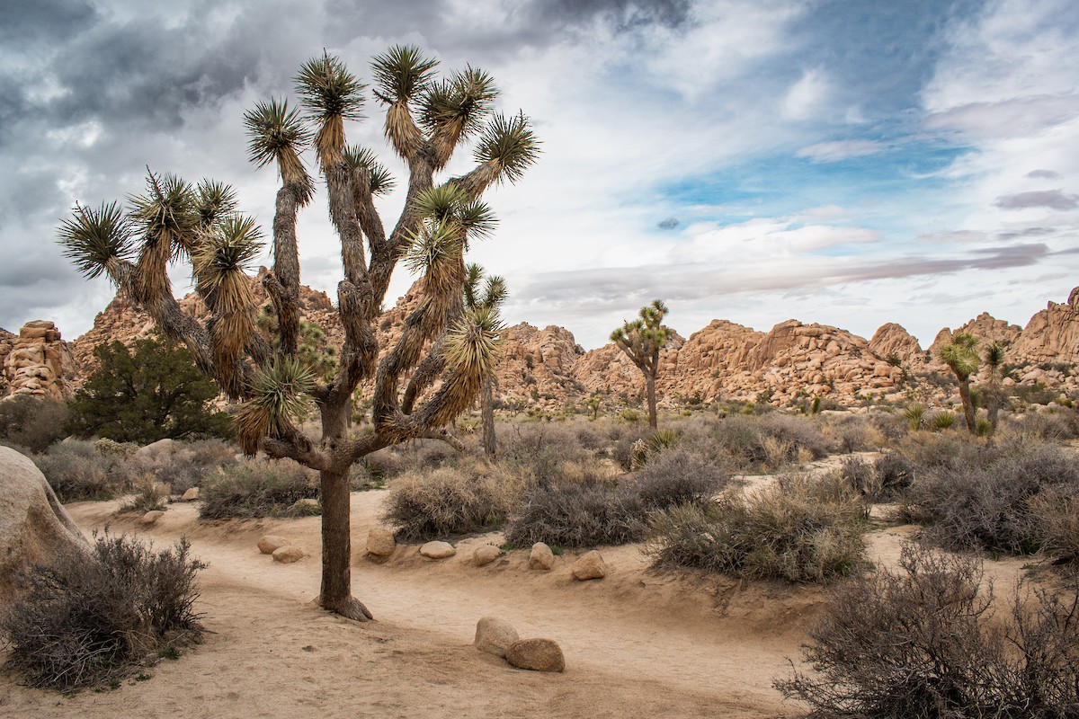 Checklist Media Featured on eBird Hotspots - eBird