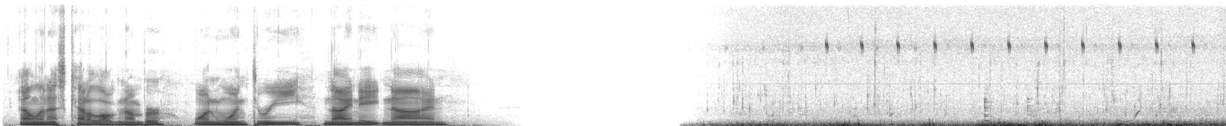 ML113989 - Zebra Scaly Cricket - Macaulay Library