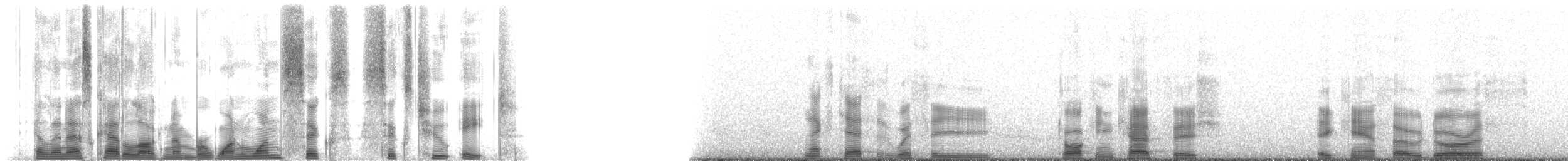 ML116628 - Croaking catfish - Macaulay Library