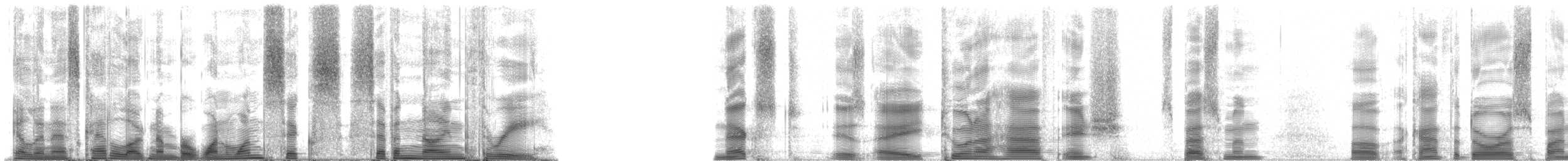 ML116793 - Croaking catfish - Macaulay Library