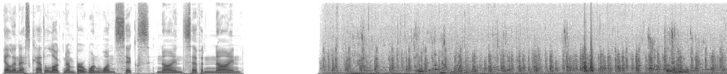 Bairdiella chrysoura - Media Search - Macaulay Library and eBird