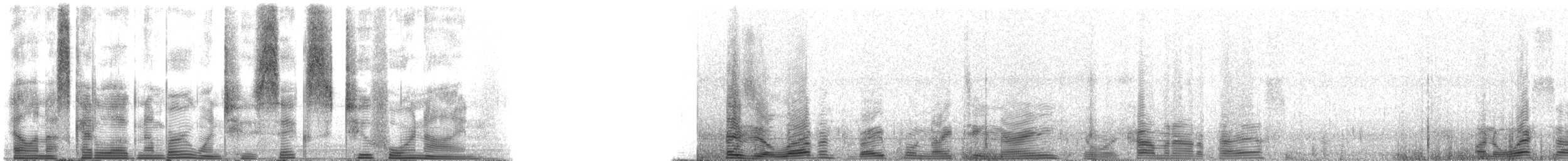 Bairdiella chrysoura - Media Search - Macaulay Library and eBird