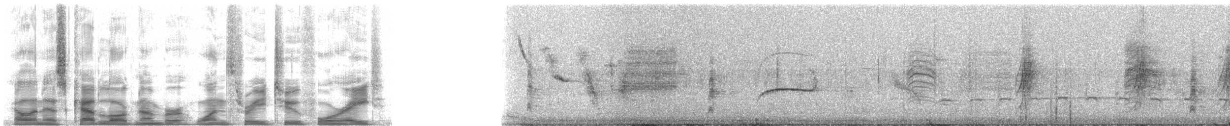 ML13248 - Necklaced Spinetail (Necklaced) - Macaulay Library