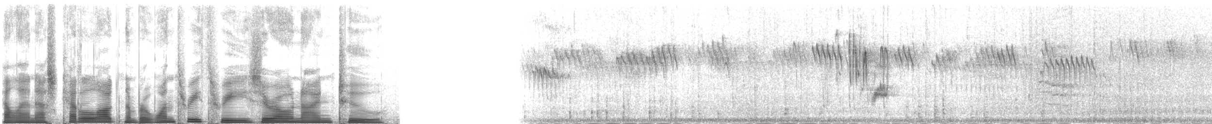 ML133092 - Black-capped Chickadee - Macaulay Library