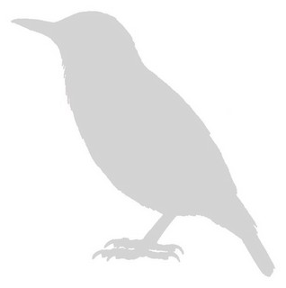 Sturnidae - Starlings - Birds of the World