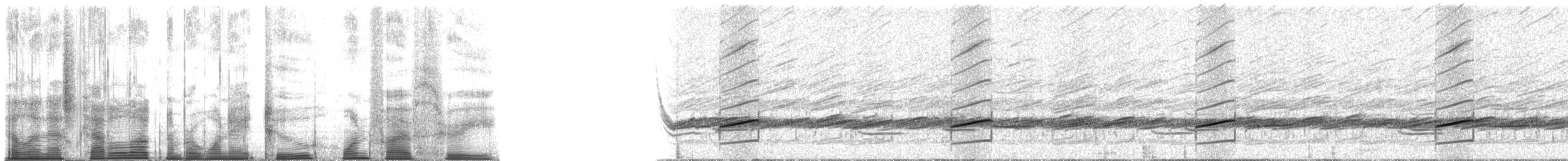 ML182153 - Spring Peeper - Macaulay Library