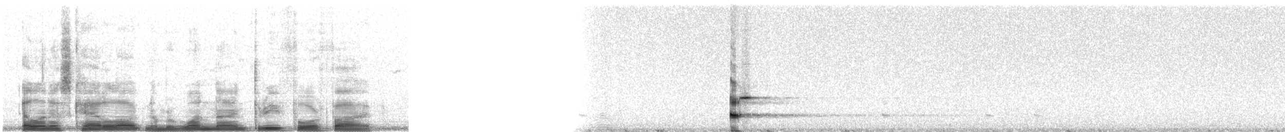 Bare-throated Bellbird - Procnias nudicollis - Media Search - Macaulay ...