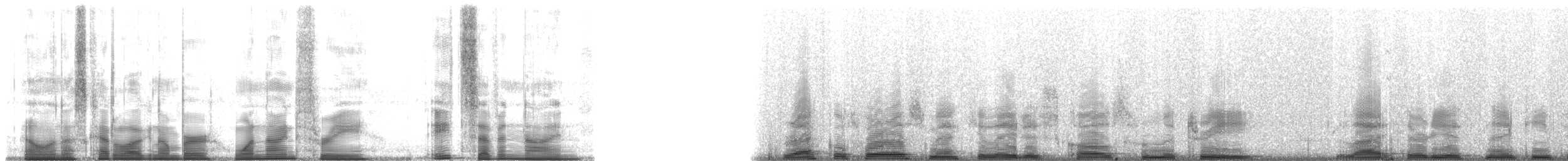 ML193879 - Chunam Tree Frog - Macaulay Library