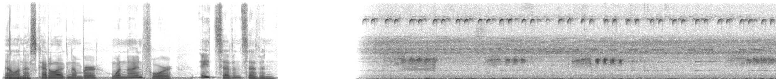 ML194877 - Variable Clown Tree Frog - Macaulay Library