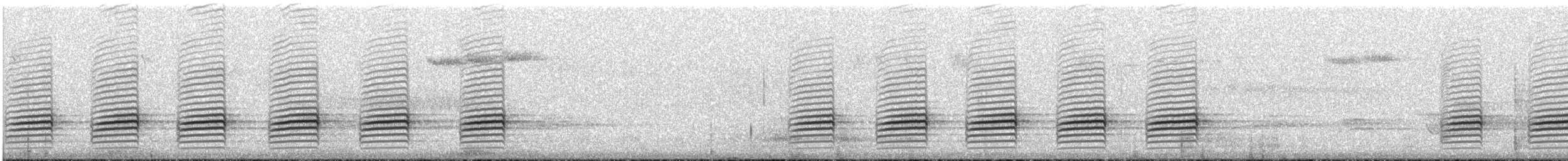 ML229281561 - Red-breasted Nuthatch - Macaulay Library