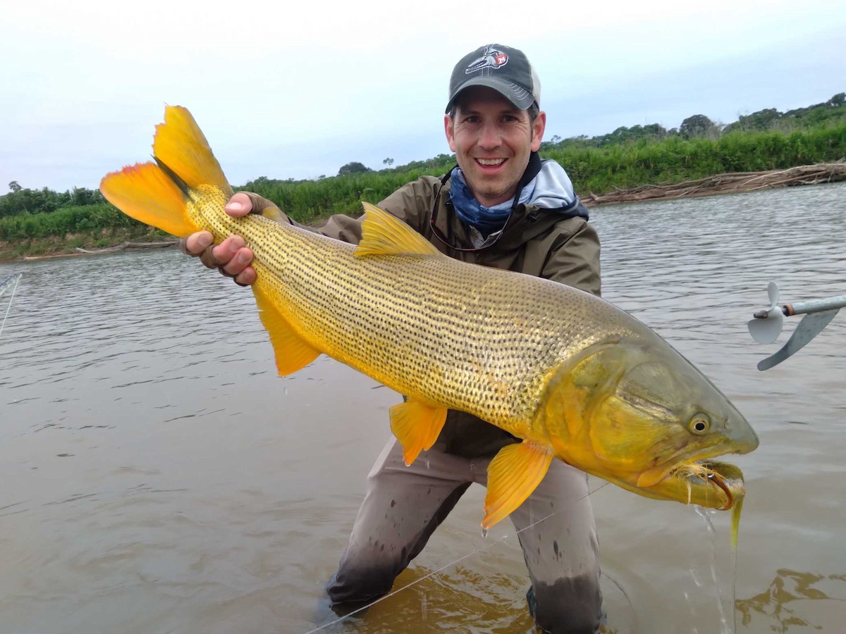 ML357489191 - Fish sp. - Macaulay Library