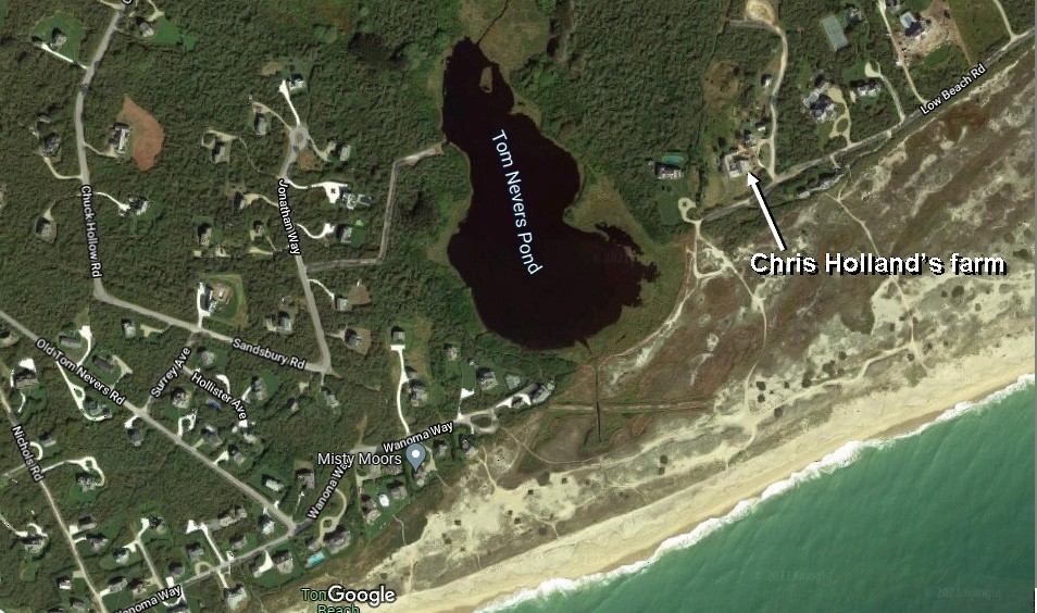 eBird Checklist - 28 Nov 1982 - Tom Nevers - 1 species