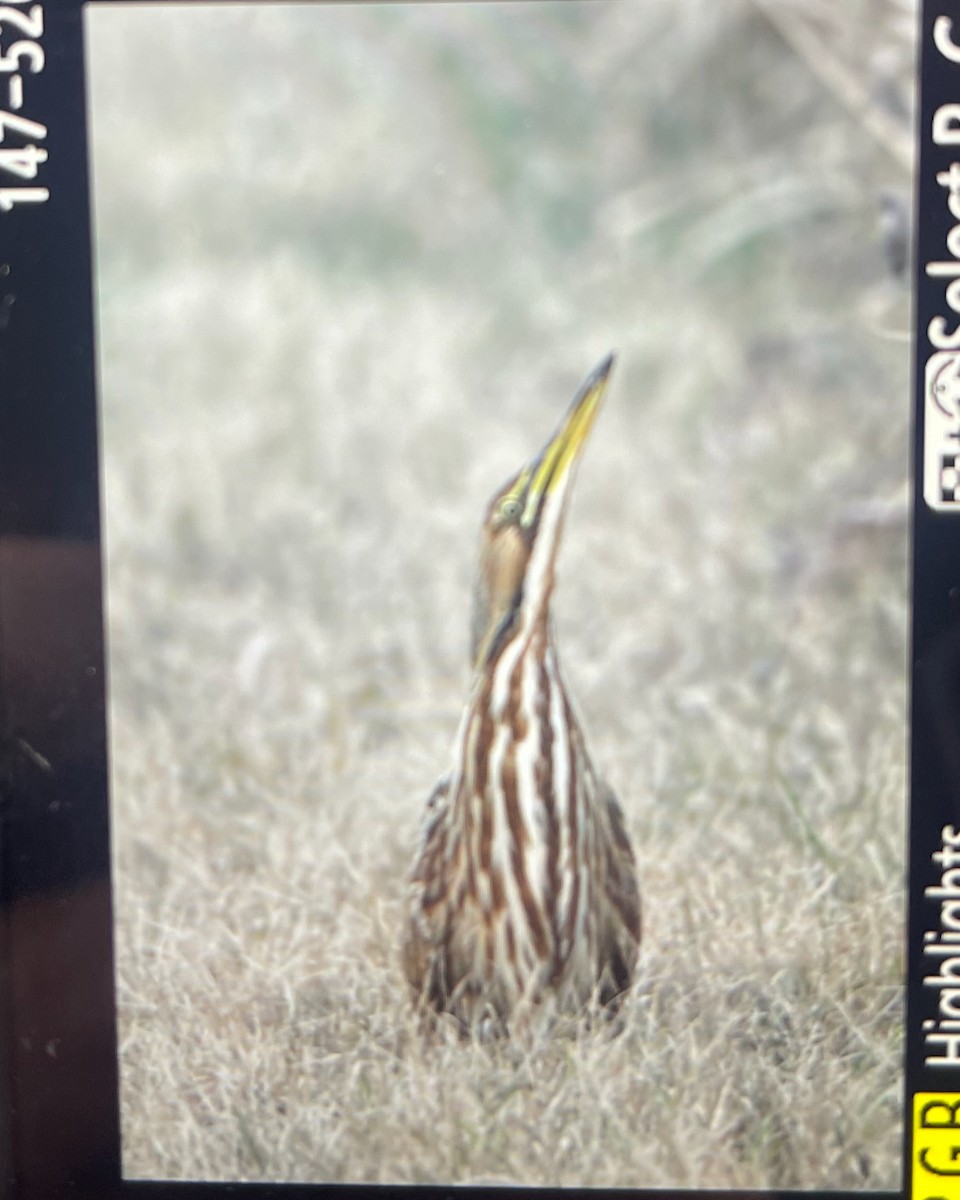 eBird Checklist - 24 Nov 2022 - Huffman Prairie Flying Field - 2 species