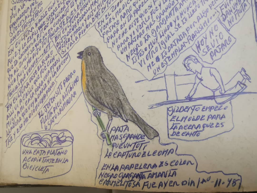 eBird Checklist - 1 Nov 1978 - Cárdenas, Matanzas - 1 species