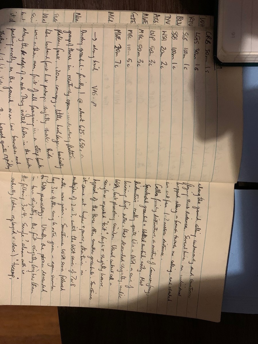 eBird Checklist - 16 Oct 1996 - CMRE 1988 SE Sector Camp 2, 800m ...