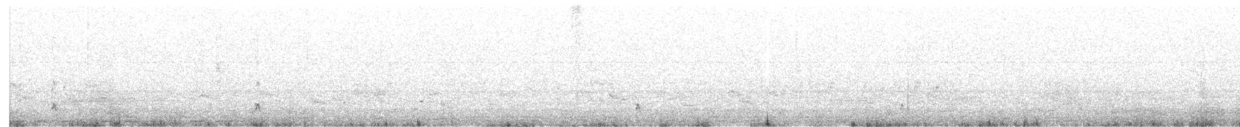Saunders's Gull - Saundersilarus saundersi - Media Search - Macaulay ...