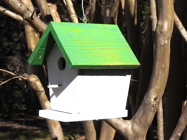 eBird Checklist - 30 Mar 2024 - Kelly's Bird Sanctuary @ Forest Feeders ...