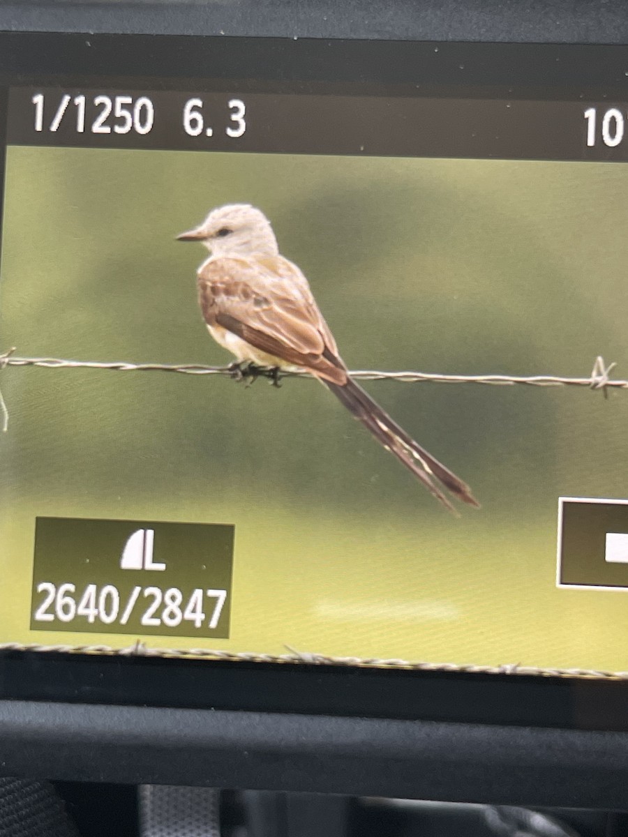 eBird Checklist - 27 Jul 2024 - Pony Express Farm Pond - 28 species