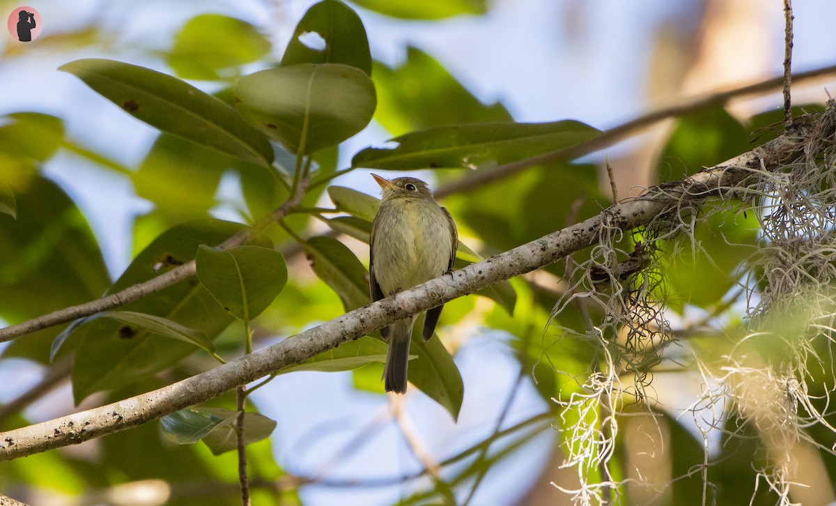 eBird Checklist - 5 Jan 2025 - Loxahatchee NWR - 53 species