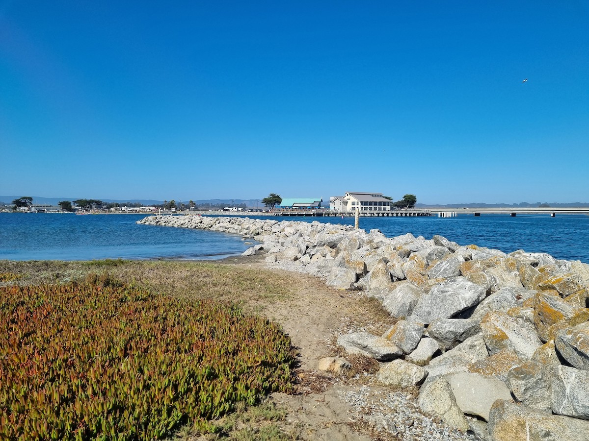 Moss Landing--Jetty Road, north jetty & State Beach - Monterey ...