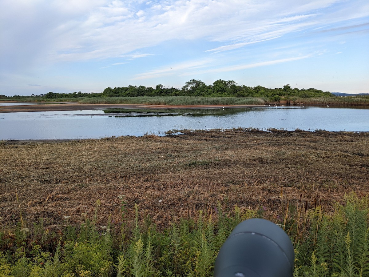 Parker River NWR--Stage Island Pool - Essex, Massachusetts, US ...