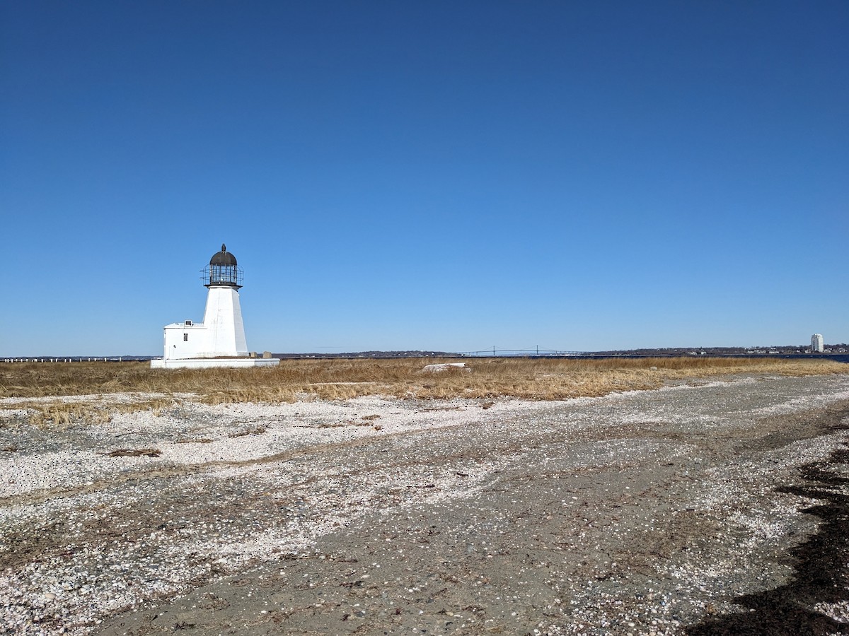 Prudence Island - Newport, Rhode Island, US - Birding Hotspots