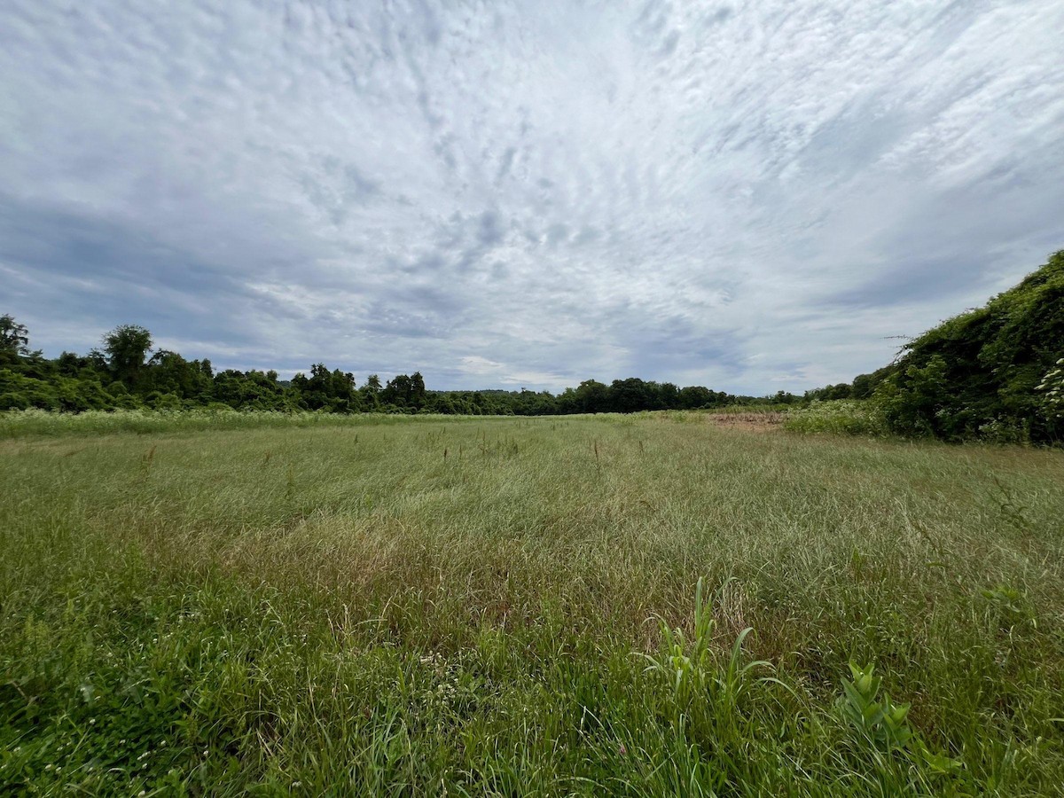 Green Bottom WMA--Hoeft Marsh - Cabell, West Virginia, US - Birding ...