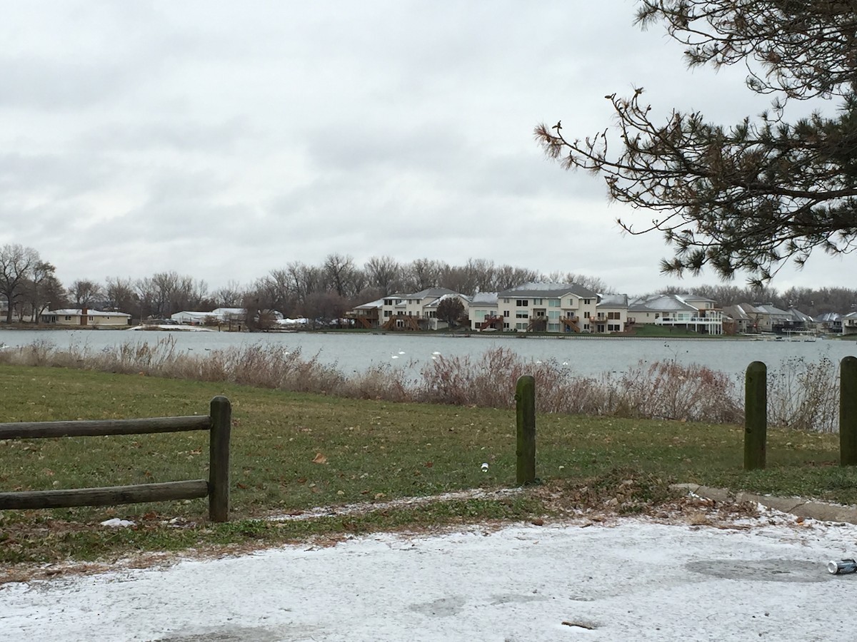Carter Lake (Nebraska) - Douglas, Nebraska, US - Birding Hotspots