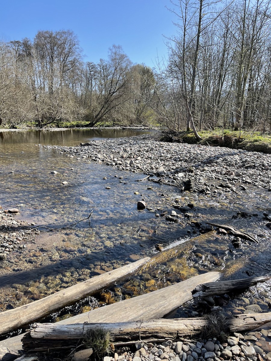 ML633396505 - Habitat: River Enrick - Macaulay Library
