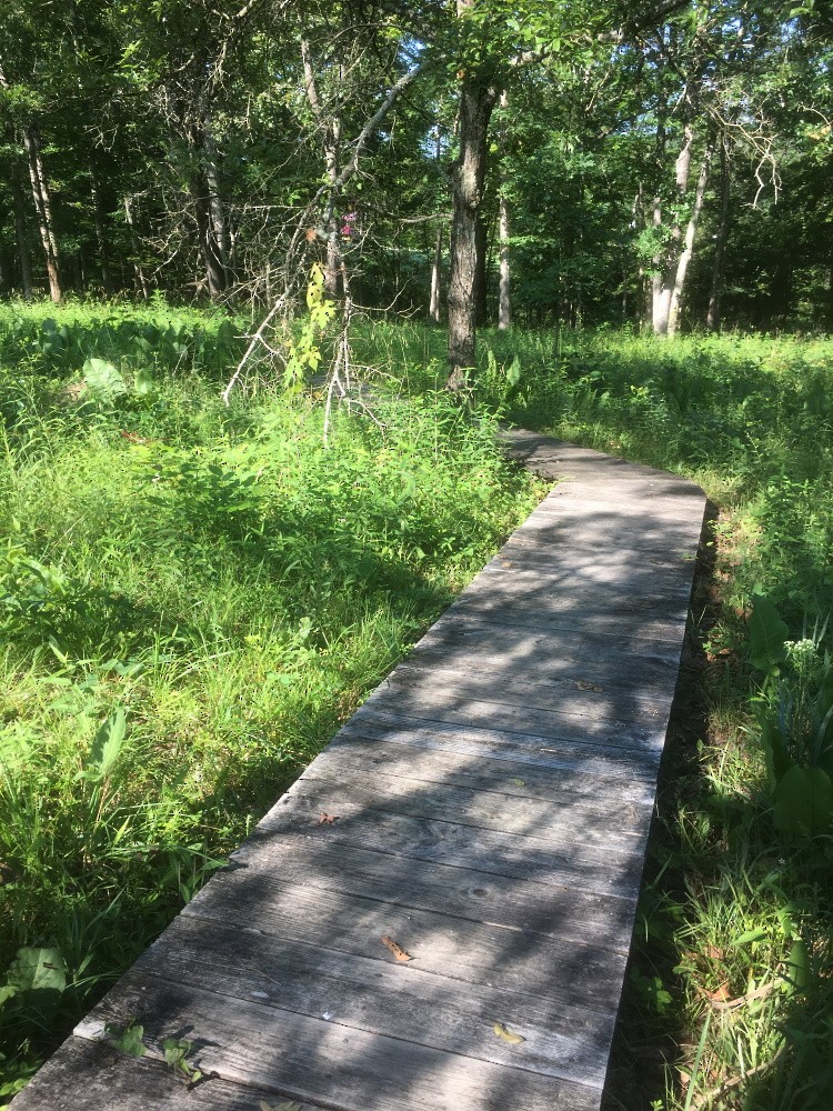 Adams Lake Prairie State Nature Preserve - Adams, Ohio, US - Birding ...