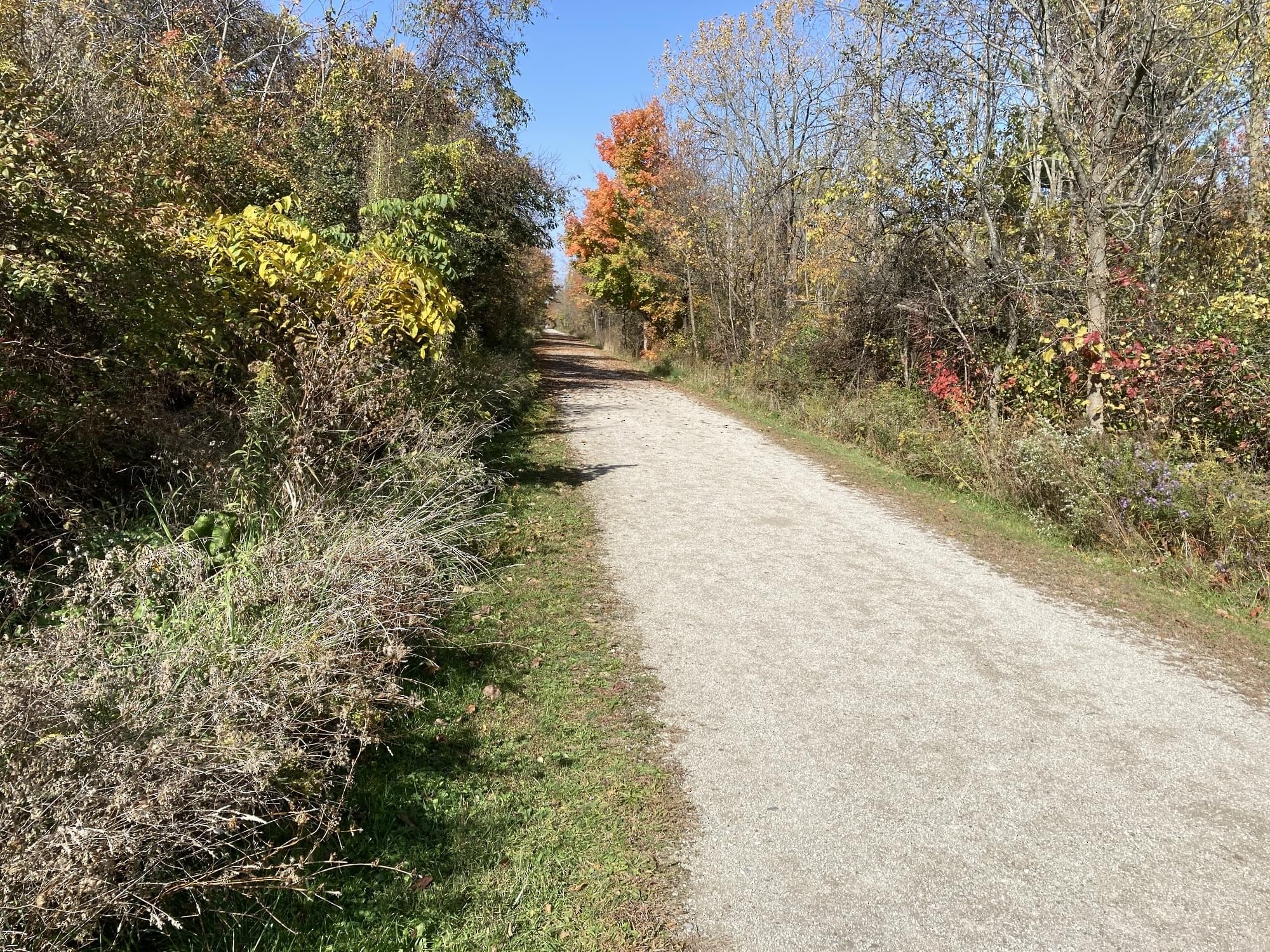 Lester Rail Trail - Medina, Ohio, US - Birding Hotspots