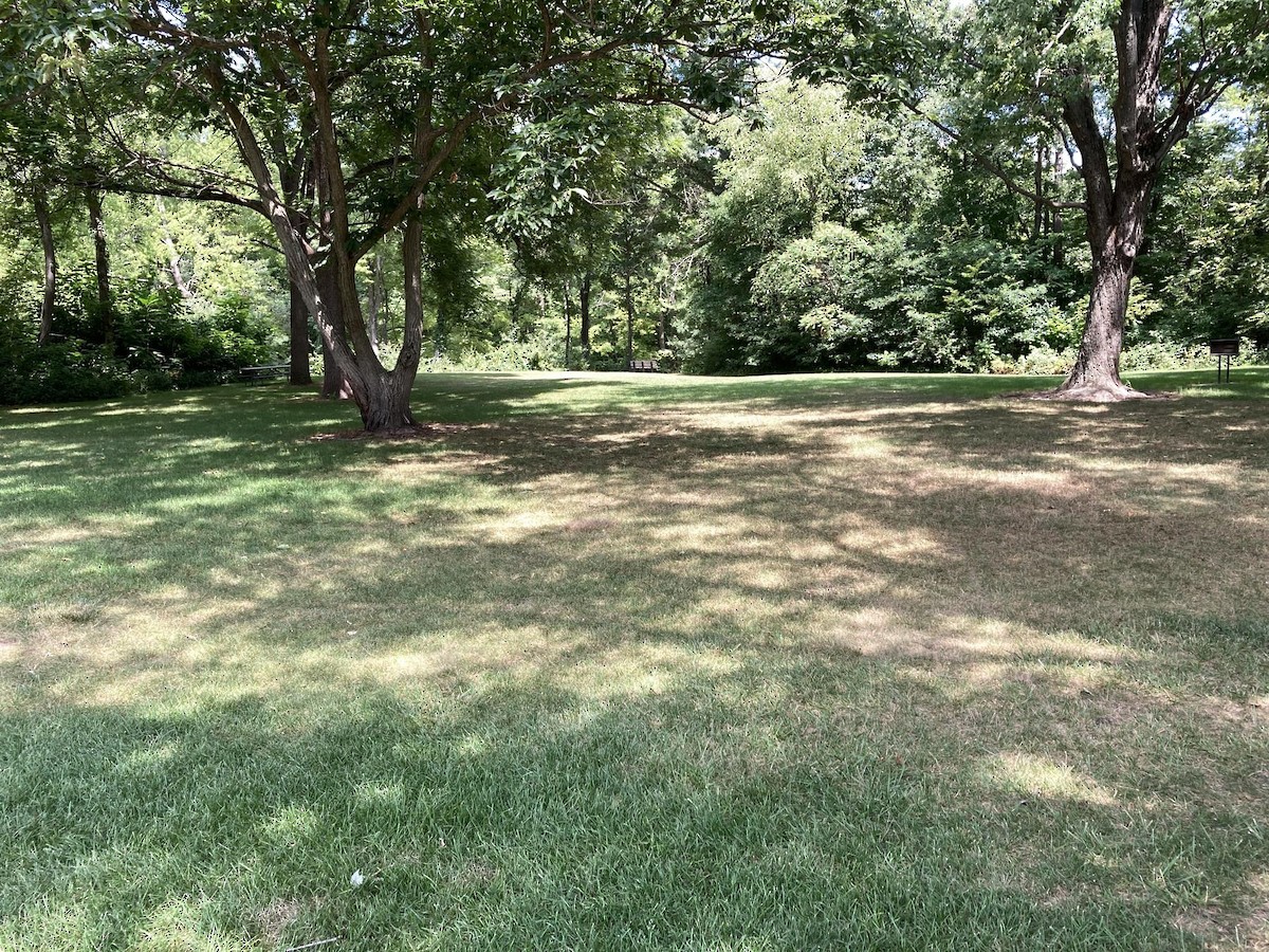 Oak Openings--Springbrook Lake Trail - Lucas, Ohio, US - Birding Hotspots