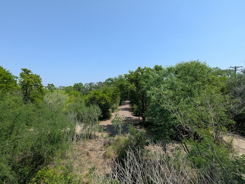 Santa Ana National Wildlife Refuge - Birding Hotspots