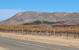 Santa Maria Mesa Road Ponds, Santa Barbara, California, United States ...