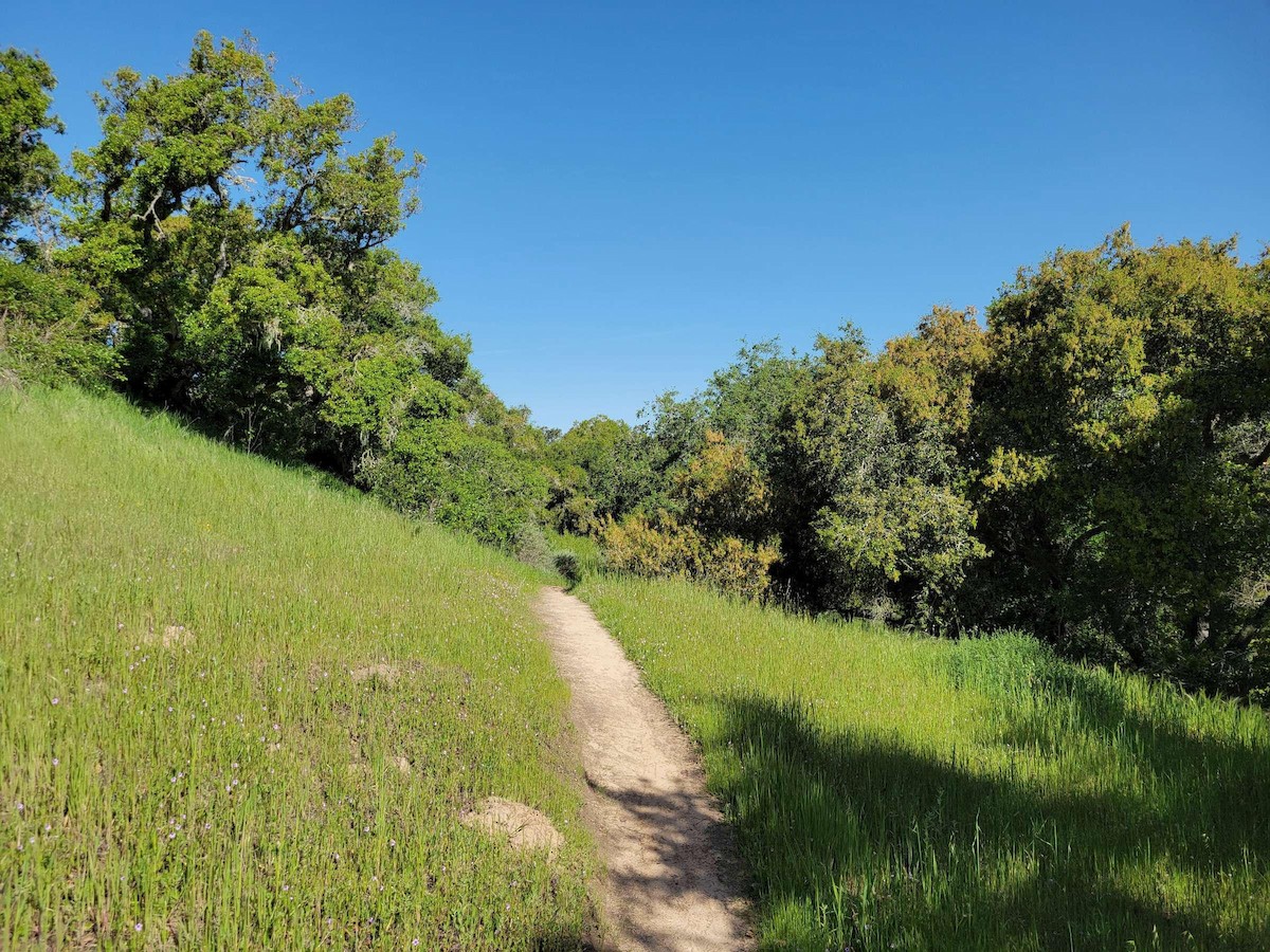 Orcutt Trail East--Black Oak and Brodie Trails - Santa Barbara ...