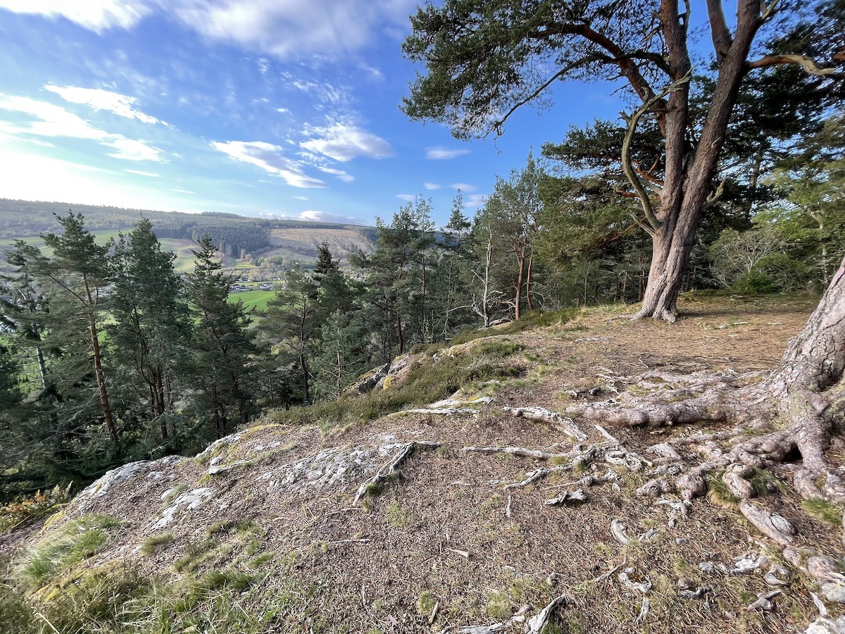 ML634238633 - Habitat: The summit of Craig Monie - Macaulay Library